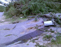 Transformer damaged at Thumbay dam - Power Transformer News